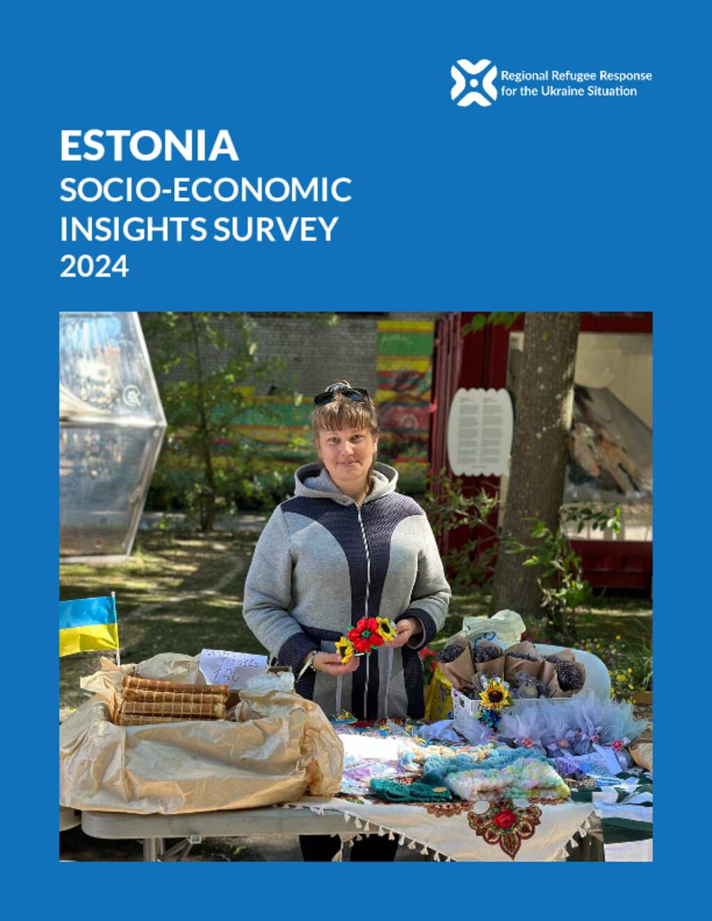 Document - Socio-Economic Insights Survey (SEIS) Estonia 2024