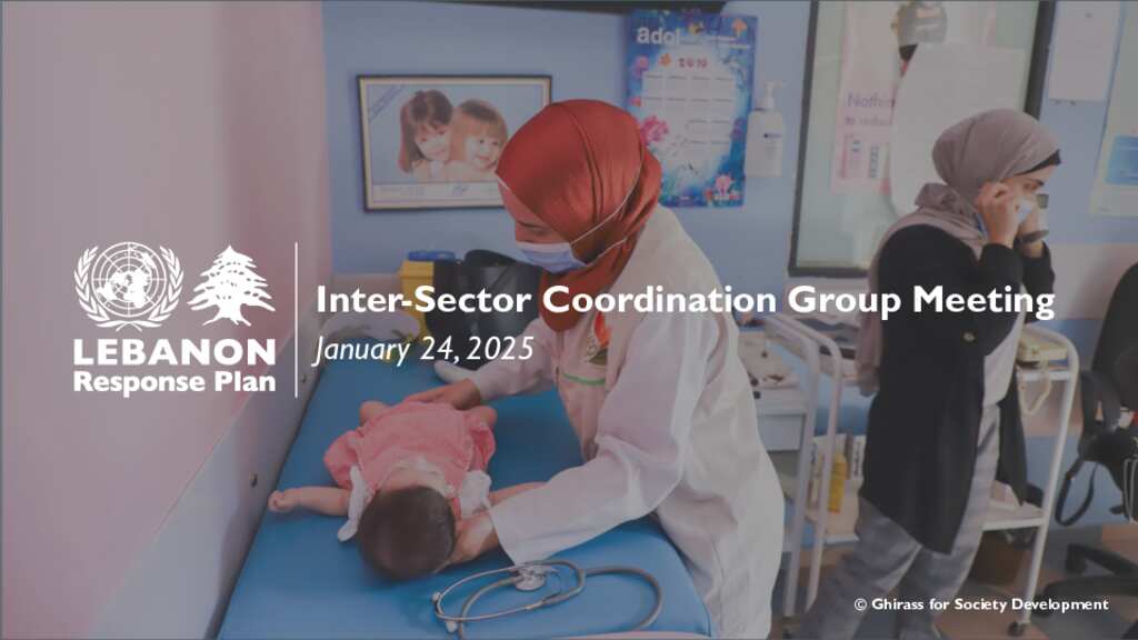 Document - Lebanon: Ad-Hoc Inter-Sector Coordination Group Meeting - 24 January 2025